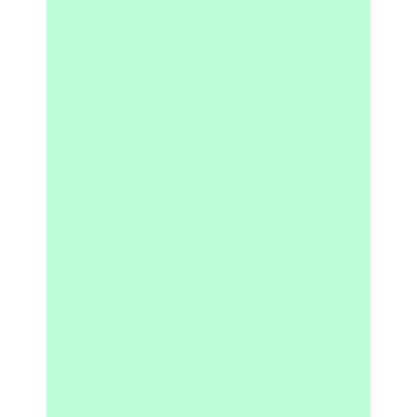 Hammermill Colour Copy Paper, 8-1/2